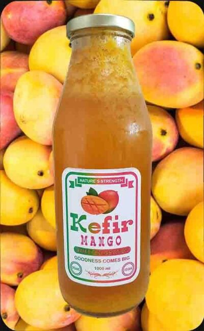 Our probiotics - Kefir And Kombucha Malaysia
