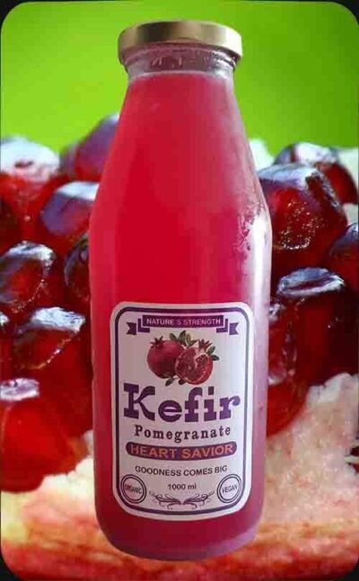 Our probiotics - Kefir And Kombucha Malaysia