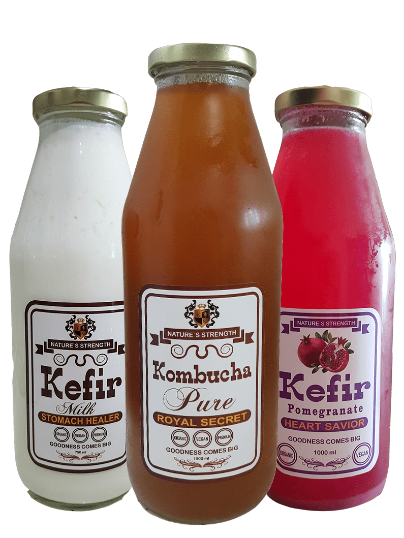Kefir & Kombucha in Kuala Lumpur Malaysia